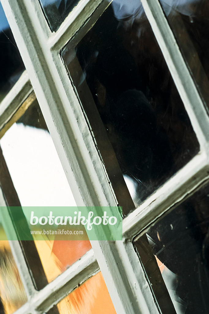 Image Muntin window with glass panes of an old garden house - 381094 ...