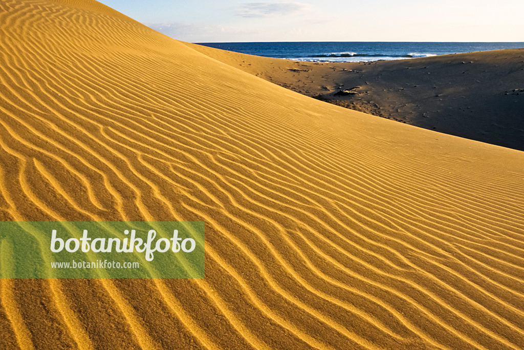 Image Shifting sand dunes, Maspalomas, Gran Canaria, Spain - 397047 ...